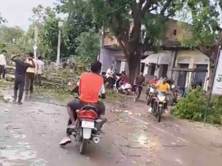 Bhadohi Storm | Trees Fall, Traffic Jam in Nagmalpur