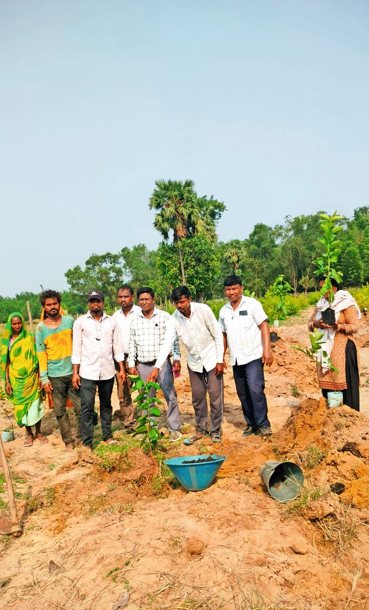 Planting of 50 fruit trees on World Desertification and Drought ...