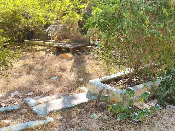 Sundha Mata Smriti Van Dying | Neglect Causes Plants to Wither