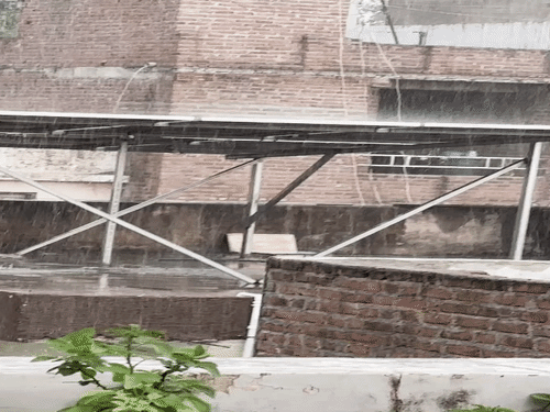 Chhipabarod Heavy Rain Brings Relief; Temperature Drops From Heat