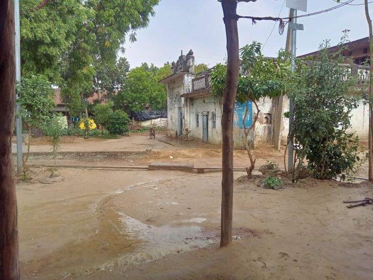 Barabanki Rain Relief From Heat | Paddy Nursery Benefits