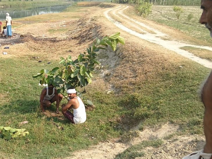 Belhari Environmental Initiative | Banyan Trees at Shamshan Ghat