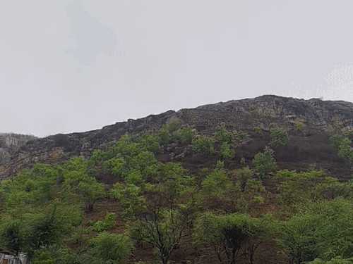 Sawai Madhopur Weather Alert: Yellow Alert For Thunderstorm & Rain