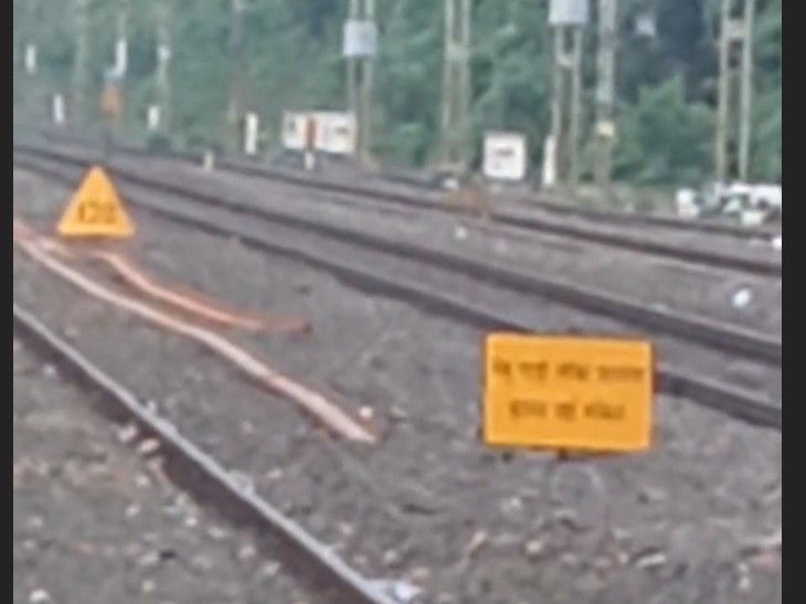 Kiratgarh Station Leopard Alert | Villagers, Railway Staff Scared