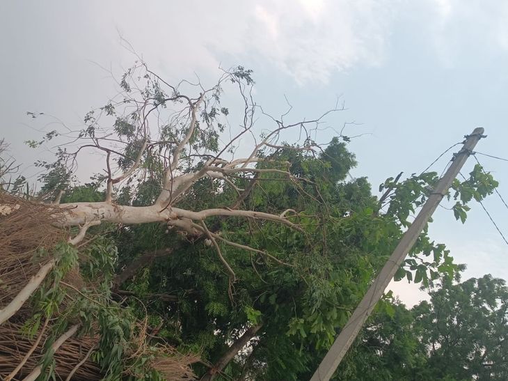 Belipar Storm & Rain Cause Power Outage | Sevai Feeders Shut, Poles Broken