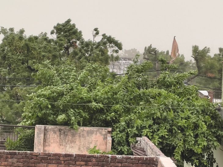 Meerut Jani Storm Brings Relief From Heat, Fear of Damage
