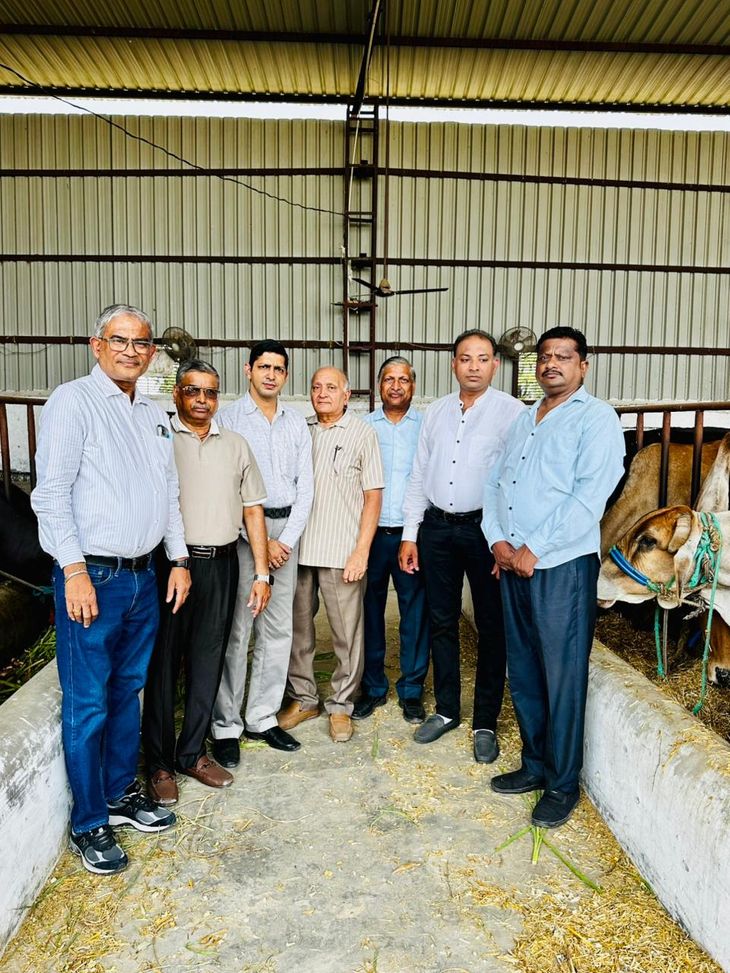 Jain Seva Samiti performed animal welfare work at Adampur Gaushala