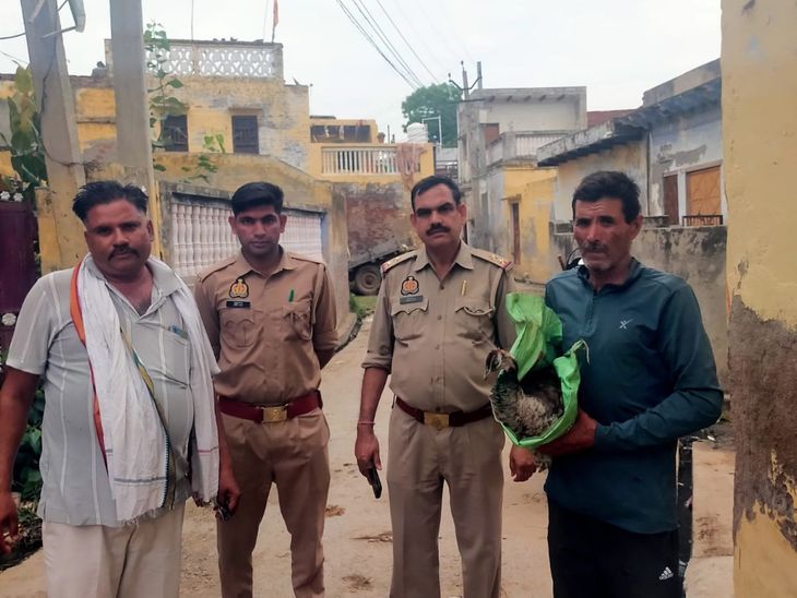 Mirpur Dauhora Mor Death | Forest Dept Conducts Funeral; High Tension ...