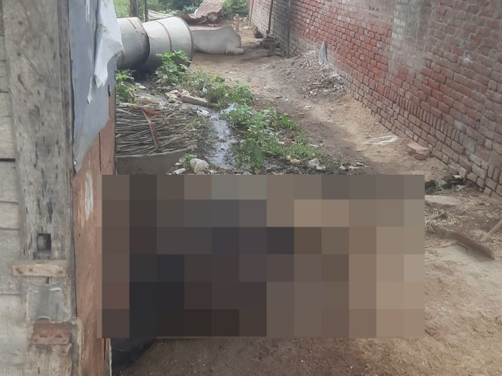 Agra Chitra Haat Cows Death | Calf Critical, Family Demands Compensation