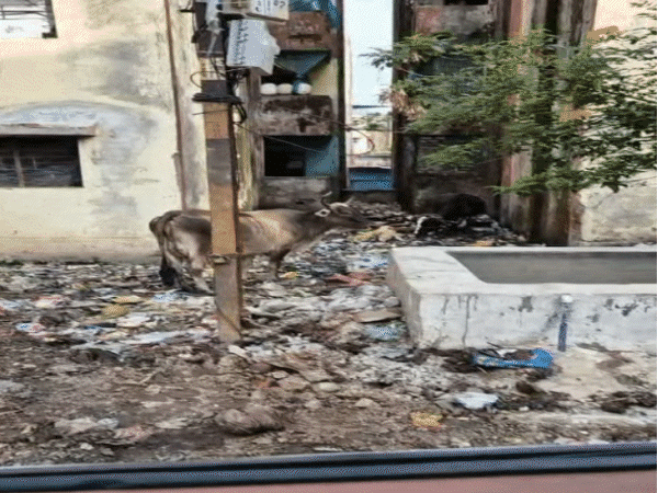 Nehru Nagar Slum: Buildings Decay, Residents Live in Fear