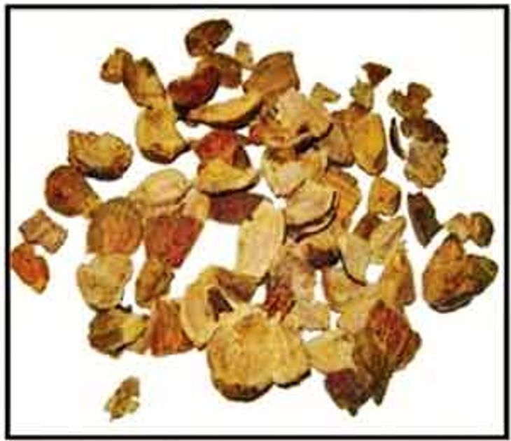 Family Medicine: Hirda | घरगुती औषधे:हिरडा | Divya Marathi