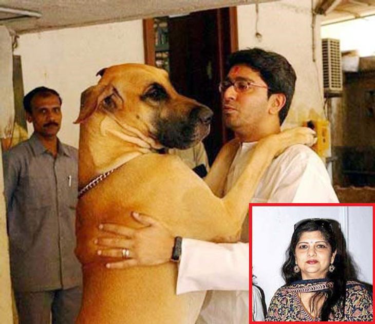 Raj Thackeray\'s dog Bond bites his wife Sharmila | राज ठाकरेंच्या ...