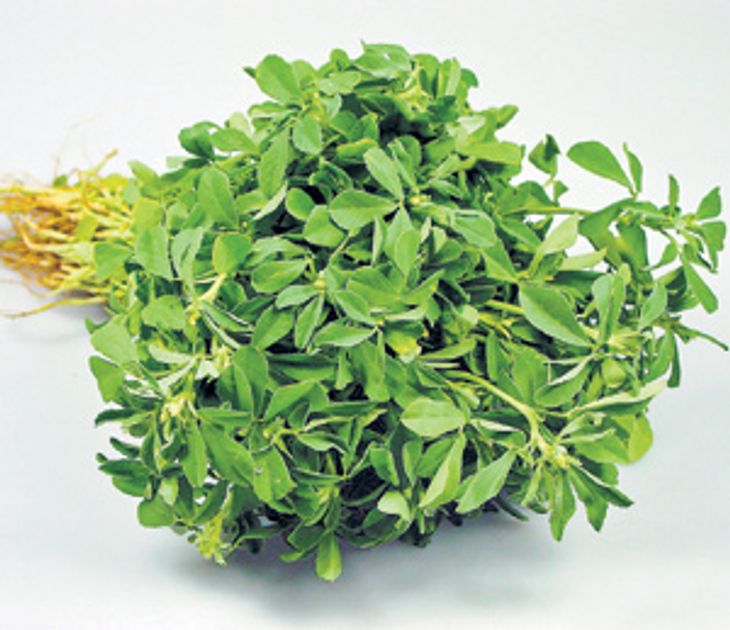 harshada deshpande madhurima article | भाजीत भाजी मेथीची | Divya Marathi