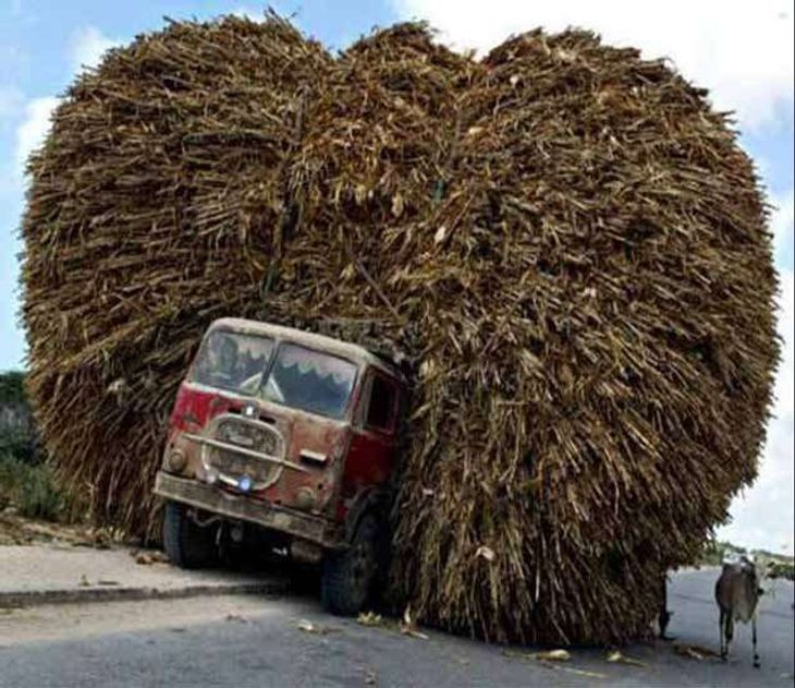 Funny Overloading Truck And Bikes Viral On Social Media | FUNNY: मलिंगा ...