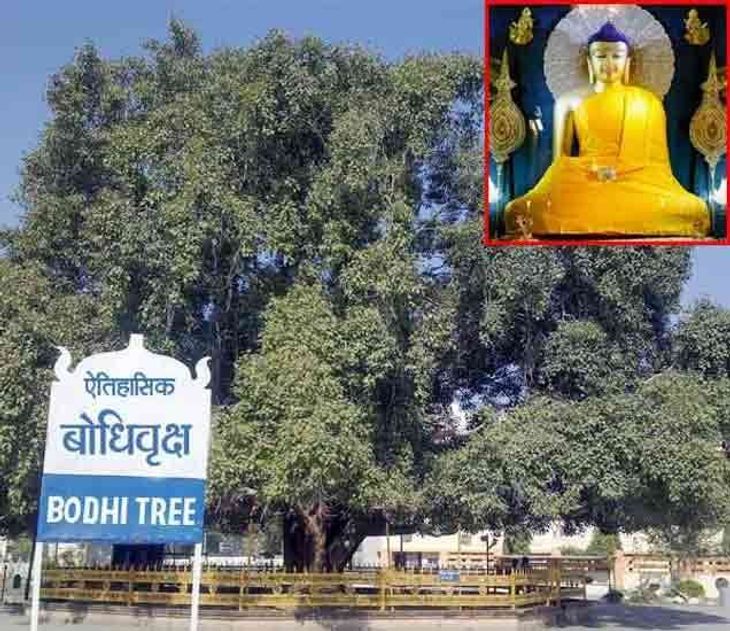61th Dhamma Chakra Pravaratan Din Special Story about Bodh Gaya ...
