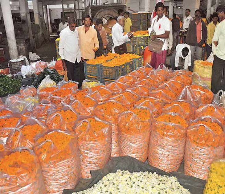 news about golani market in jalgao