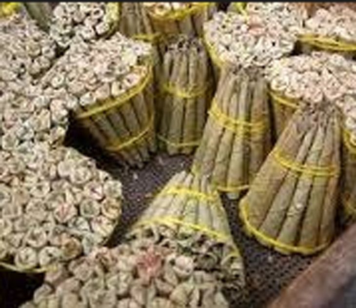 The laborer property majur chap bidi