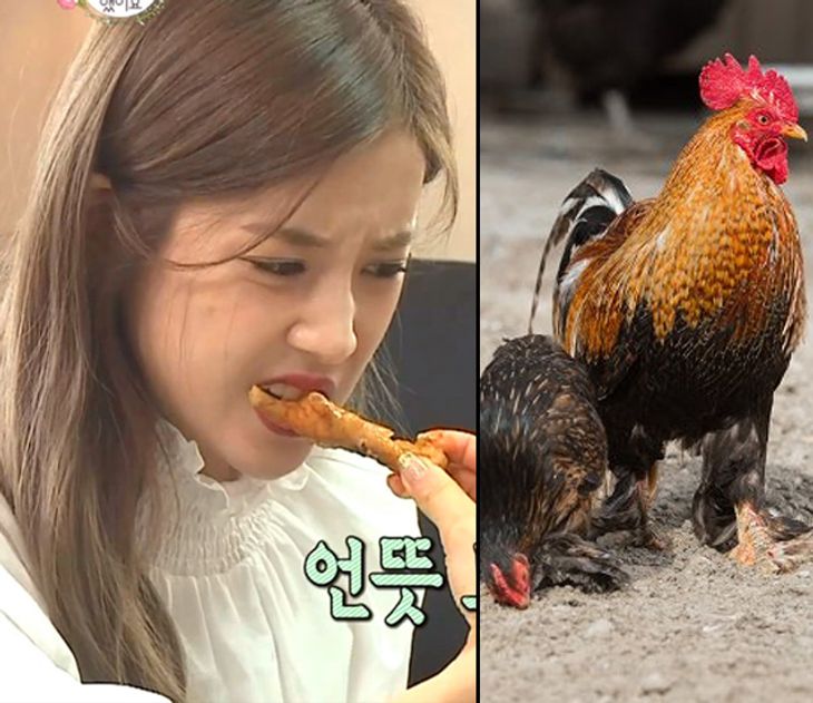 Why Do Korean, Chinese People Eat Chicken Feet, Secret Revealed