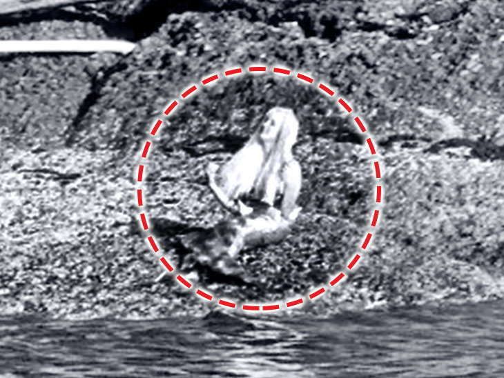 Real Life Mermaid Spotted In 1967, Still A Mystery read full story