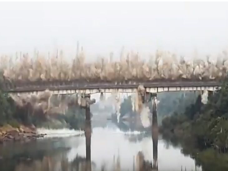 Kalu river bridge falls down, video goes viral on social media | पाहता ...