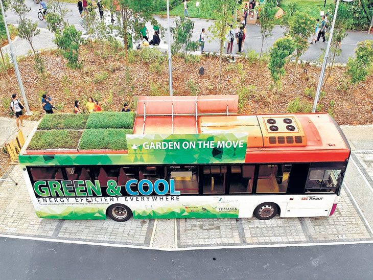 green roof buses starts in Singapore | सिंगापूर : उद्यान असलेल्या १० ...