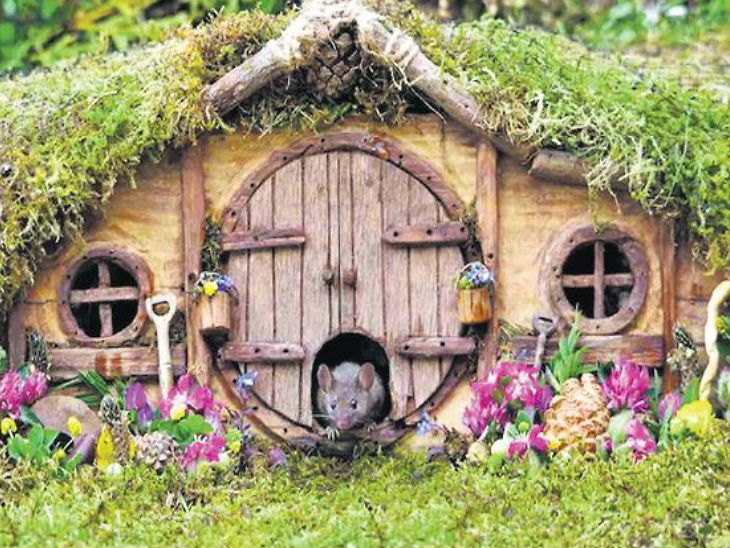 Photographer, Simon Dell, he gives them fruits, catching the mouse ...