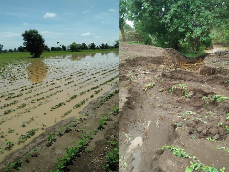 Torrential rains with strong winds in Sangrampur taluka; Damage to ...