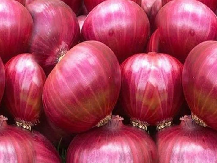 Iraq, Iran, Turkey onions will arrive in ten days; Registration by ...