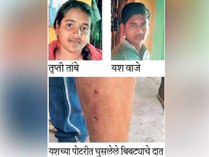 The leopard attack on brother and sister in sinnar | सिन्नर: बिबट्या दुचाकीवरून खेचत होता, भाऊ ...