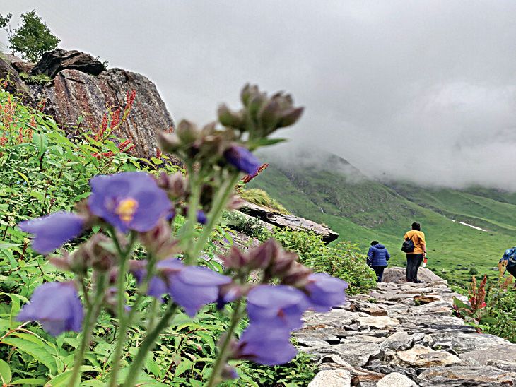 Flower basins open for tourists in Uttarakhand