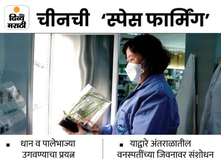 Chinese astronauts grow rice in space, latest news and update | VIDEO ...