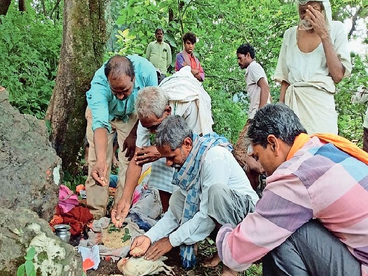 Traditional worship of village deity, Vagdev at Molgi| marathi news ...