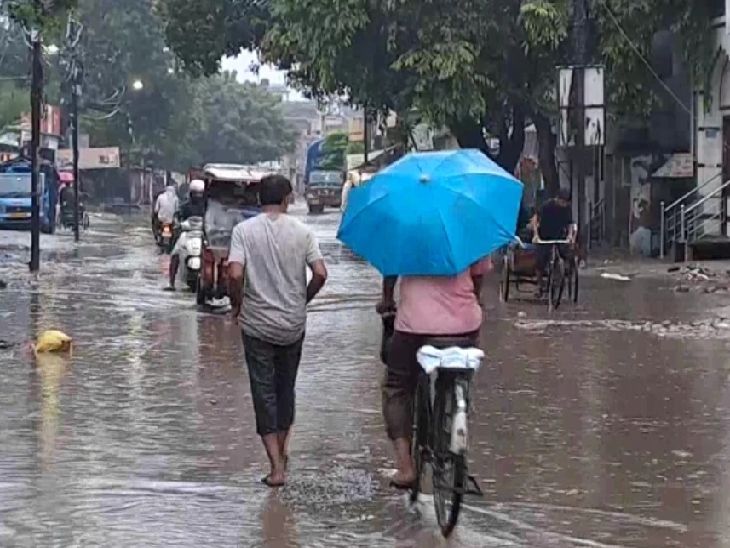 Pilgrimage of devotees due to rain in Kolhapur; Tree branches and trees ...