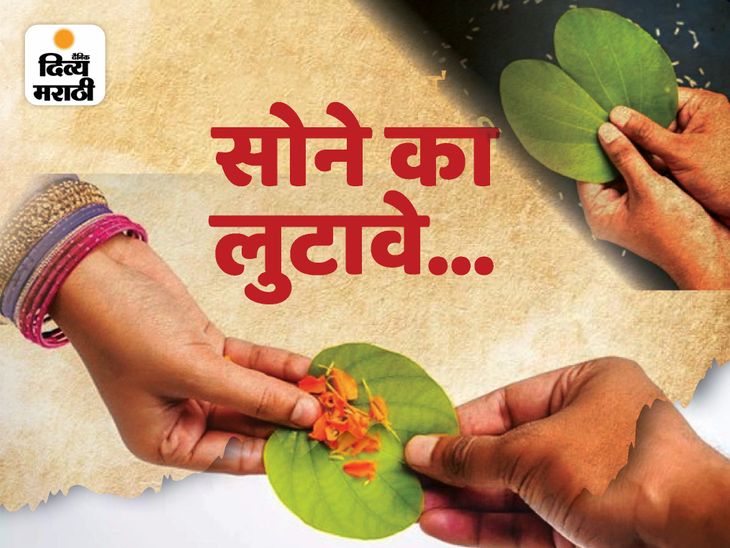 Dasara 20222 | Why are the leaves of the apta tree given as gold, why ...