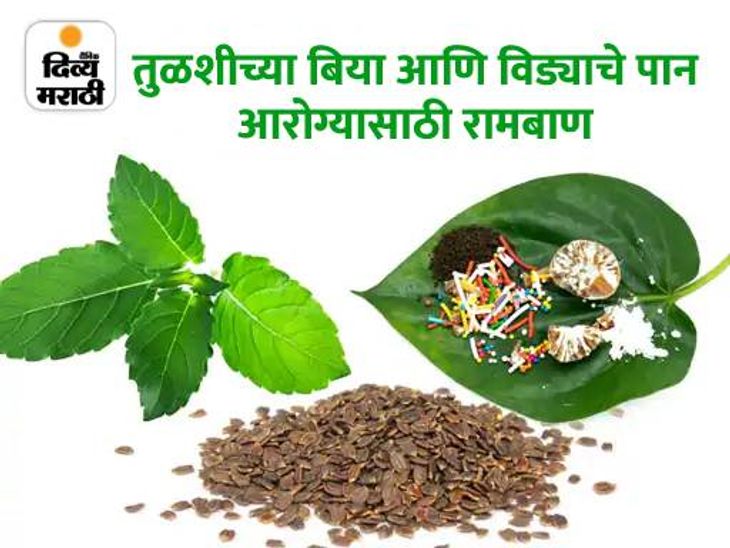 Eat tulsi seeds with leaf | will boost immunity, improve digestion ...