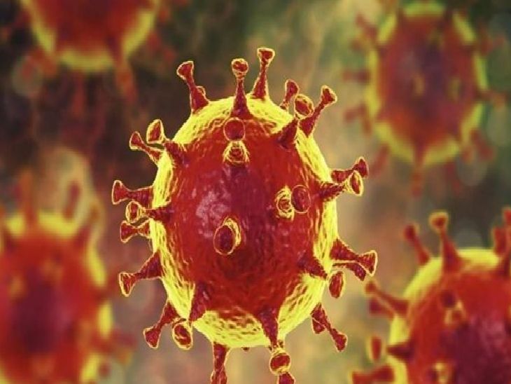 Not a new case of Karenna; Discharge one| marathi news | कोरोना संसर्ग ...