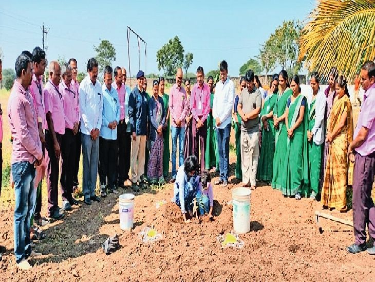 A Miyawaki forest of 500 trees will be created in two clusters| marathi ...