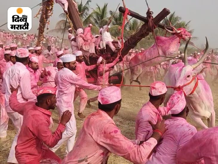 Udayan Raje Participate in Traditional Bhairavanath Bagada Procession | SP Sameer Shaikh |Pune ...