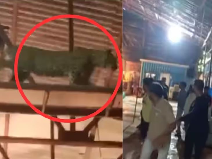 Sukh Mhanje Nakki Kay Asta Serial Set Leopard Entered| Goregaon Film City | दहशत: 'सुख म्हणजे ...