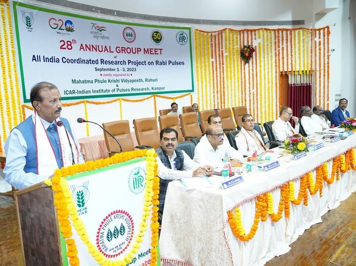 It is necessary to prepare a special road map for research on pulses in ...