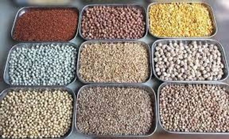 Spreading benefits of coarse grains through cooking, rangoli competition
