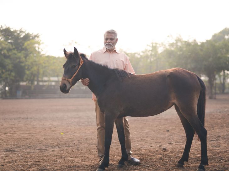 rare Bhimathdi horse will be recognized as an official breed | दुर्मिळ ...