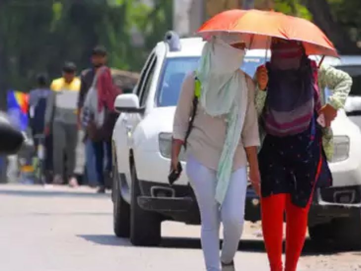 Maharashtra Cold Weather Update IMD | Maharashtra Weather Forecast