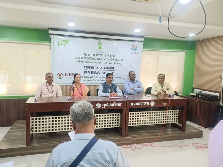 A forensic lab will be set up in Pune for testing animal samples ...