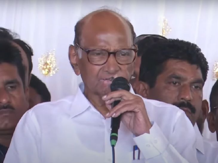 Sharad Pawar On Satara Loksabha Seat Maharashtra NCP | Srinivas Patil ...