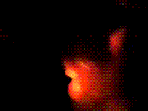 Indonesia Volcano Eruption Video; Tsunami Alert | Ruang Mountain ...