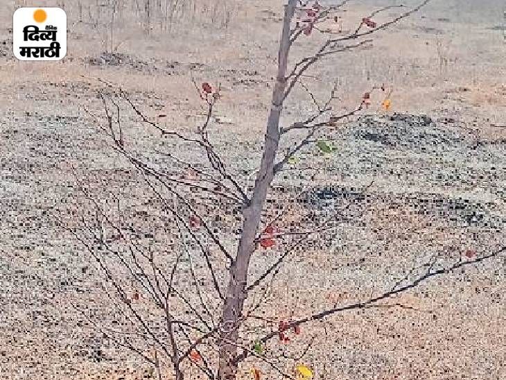 Heat Wave In The State; Rise In Temperature; Pune, Nashik, Dhule ...