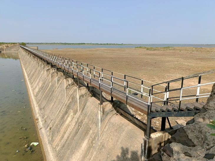 300 hectare land of Terana Dam is reclaimed and under cultivation ...