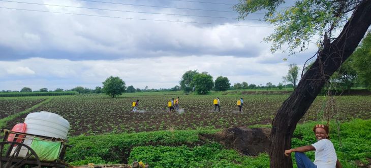 Ashad rains in Pathardi gave life to kharif crops, presence of rain ...