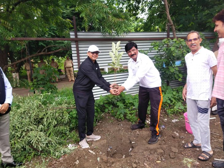 Judges planted trees in the High Court premises each member is ...